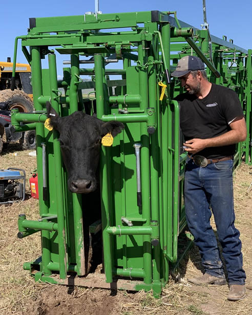 Real Tuff Cattle Handling and Livestock Equipment, Alleys, Tubs ...