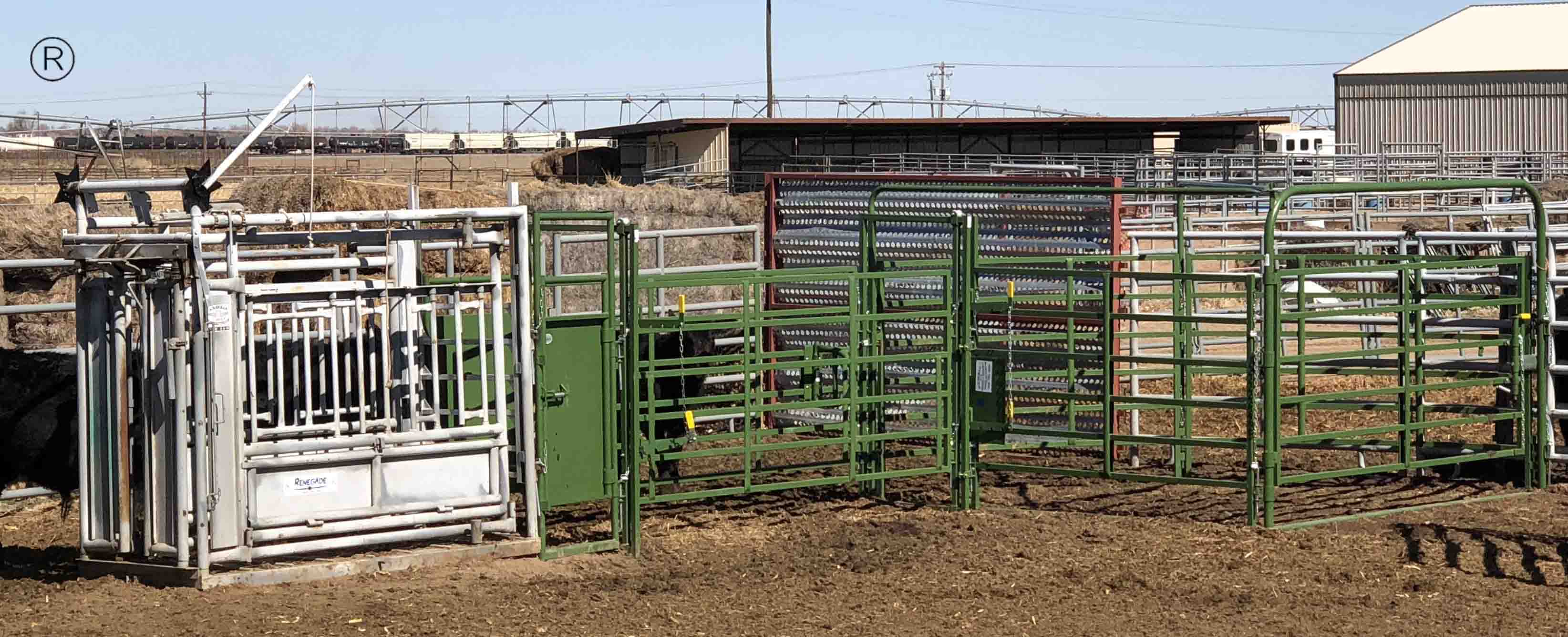 Renegade Manual Cattle Chutes Single Side Exit, Parallel Squeeze Chute ...